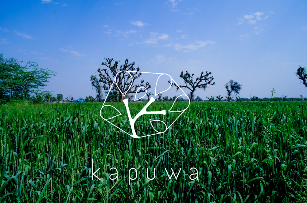 【フェア】旅するkapuwa | イベント | 代官山T-SITE | 蔦屋書店を中核とした生活提案型商業施設