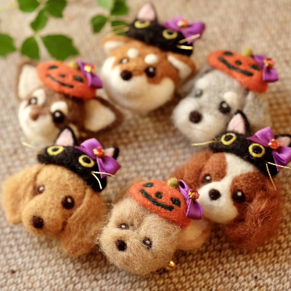 【ワークショップ】ハロウィン帽のわんこフェイスブローチ | イベント | 奈良 蔦屋書店 | 蔦屋書店を中核とした生活提案型商業施設